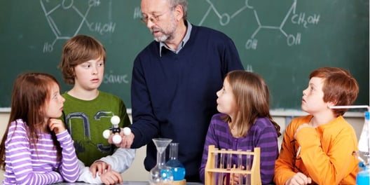 Spring Learning Activity: Build a Bird's Nest | Extended Notes